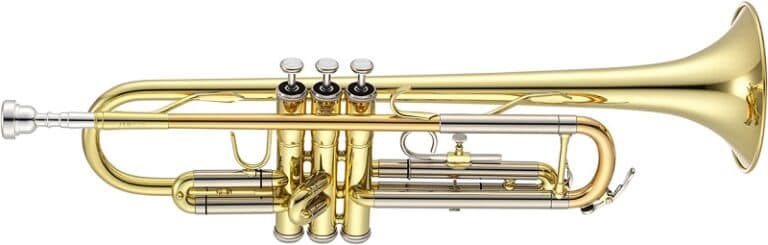Are Jupiter Trumpets Any Good? (An Honest Review)